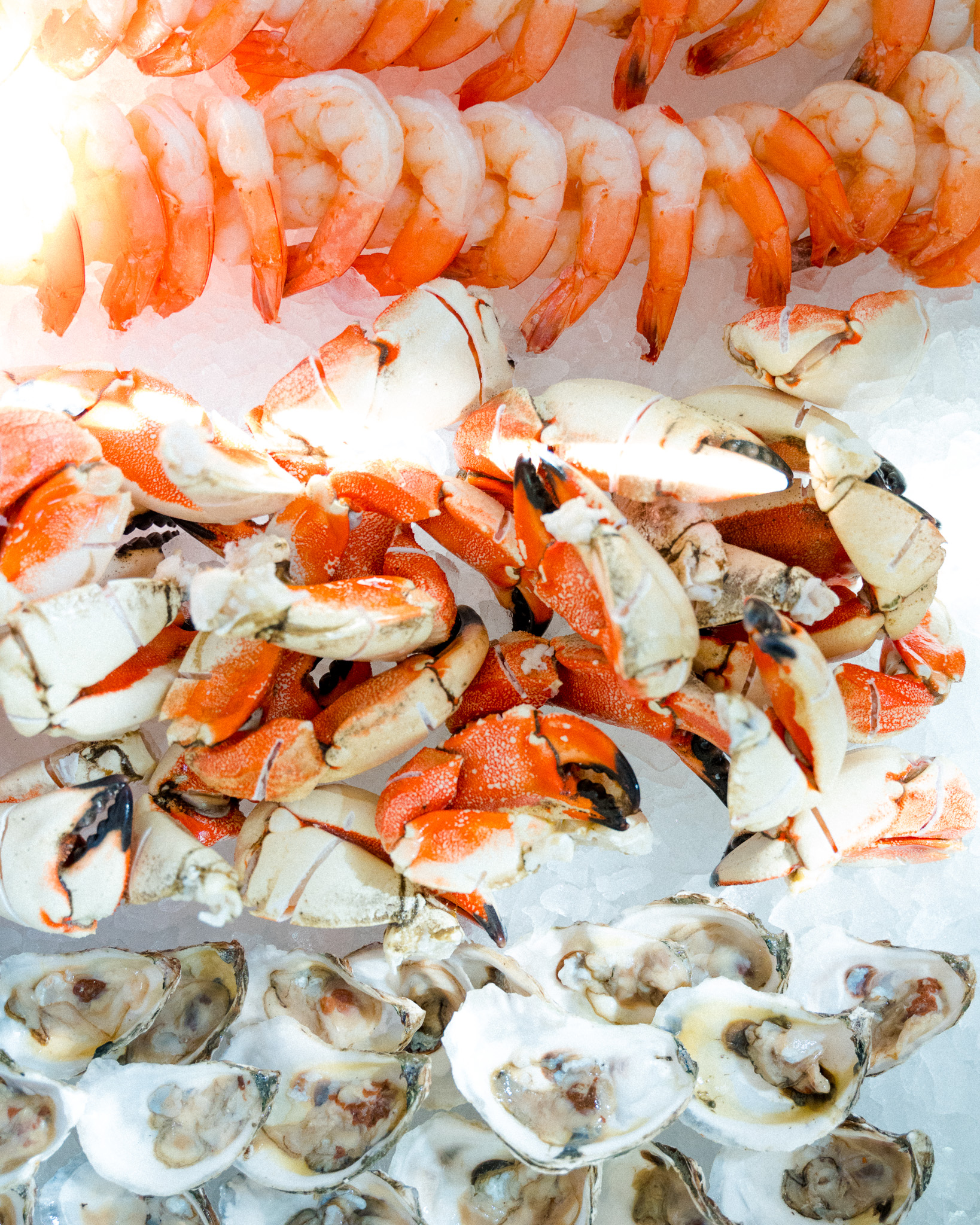 Four Flamingos | All-You-Can- Eat Stone Crab Brunch