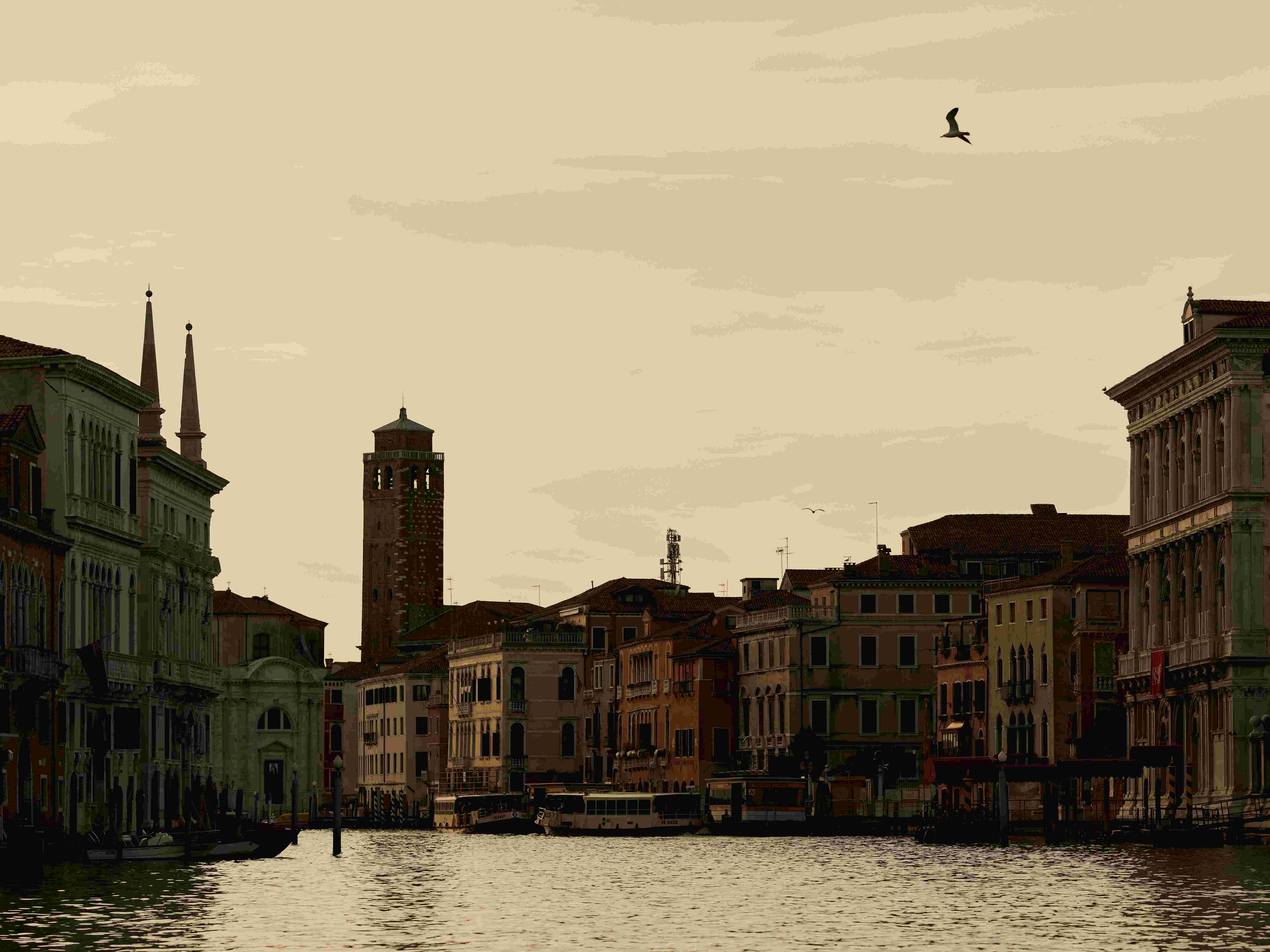 Arva | Aman Champagne and Caviar