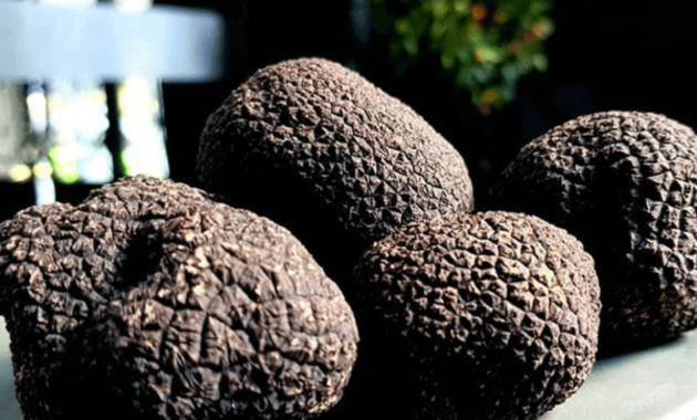 Yellow | Yellow Truffle Dinner